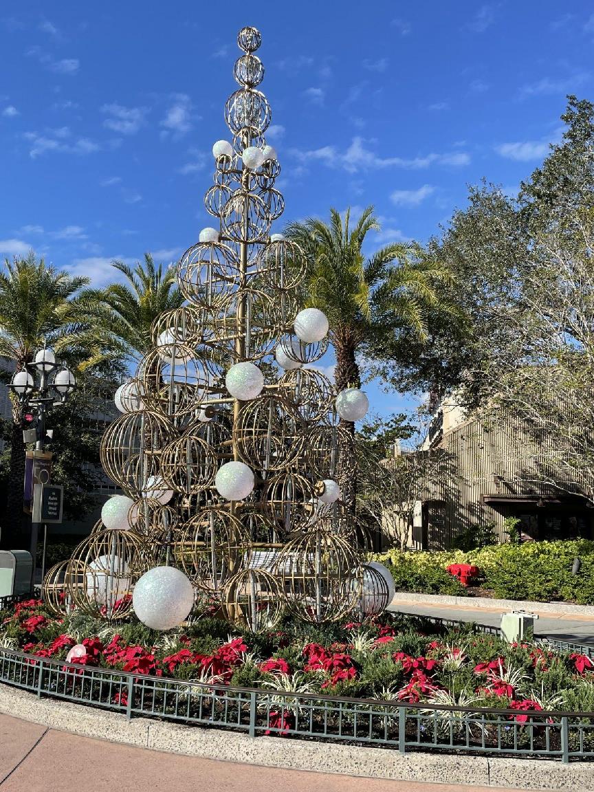 A Beautiful Christmas Tree Stroll - An Organized Season