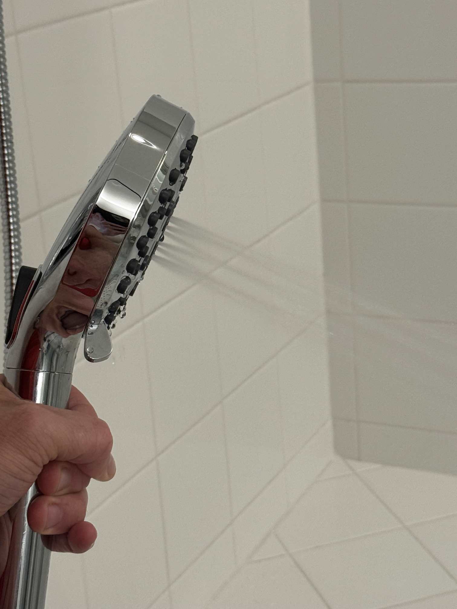 How to Install a New Shower Head - An Organized Season