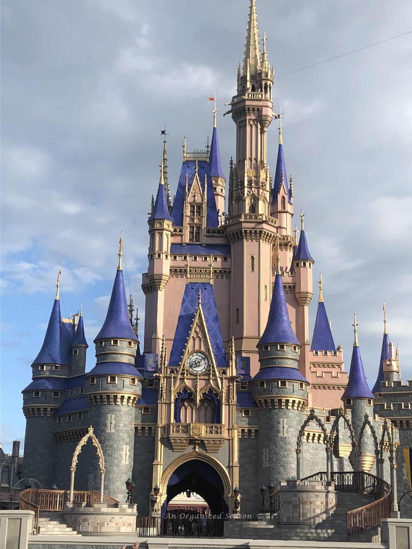 Ultimate Packing List for an Amusement Park Day - An Organized Season