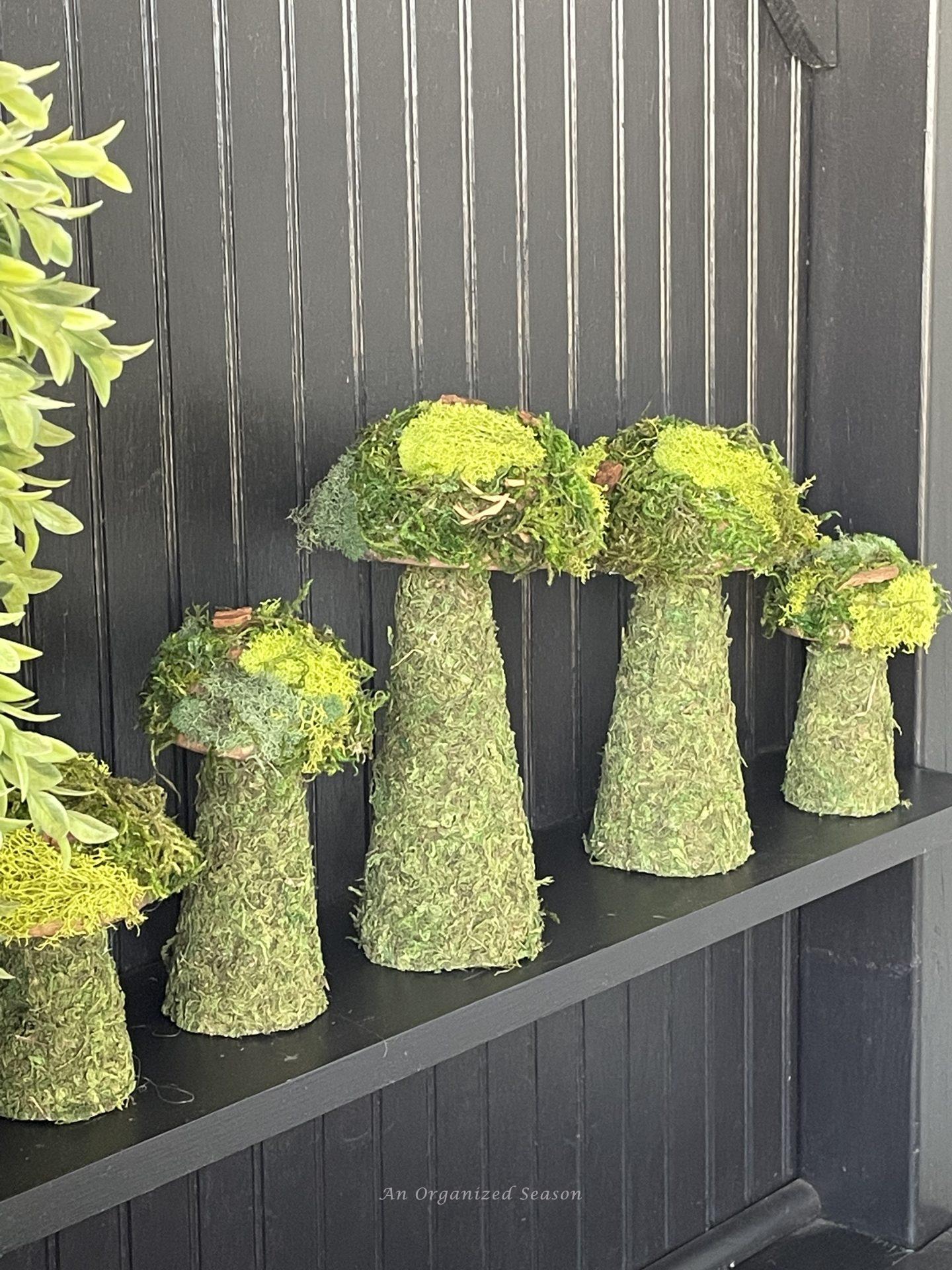 How to Make Moss Mushroom Home Decor - An Organized Season