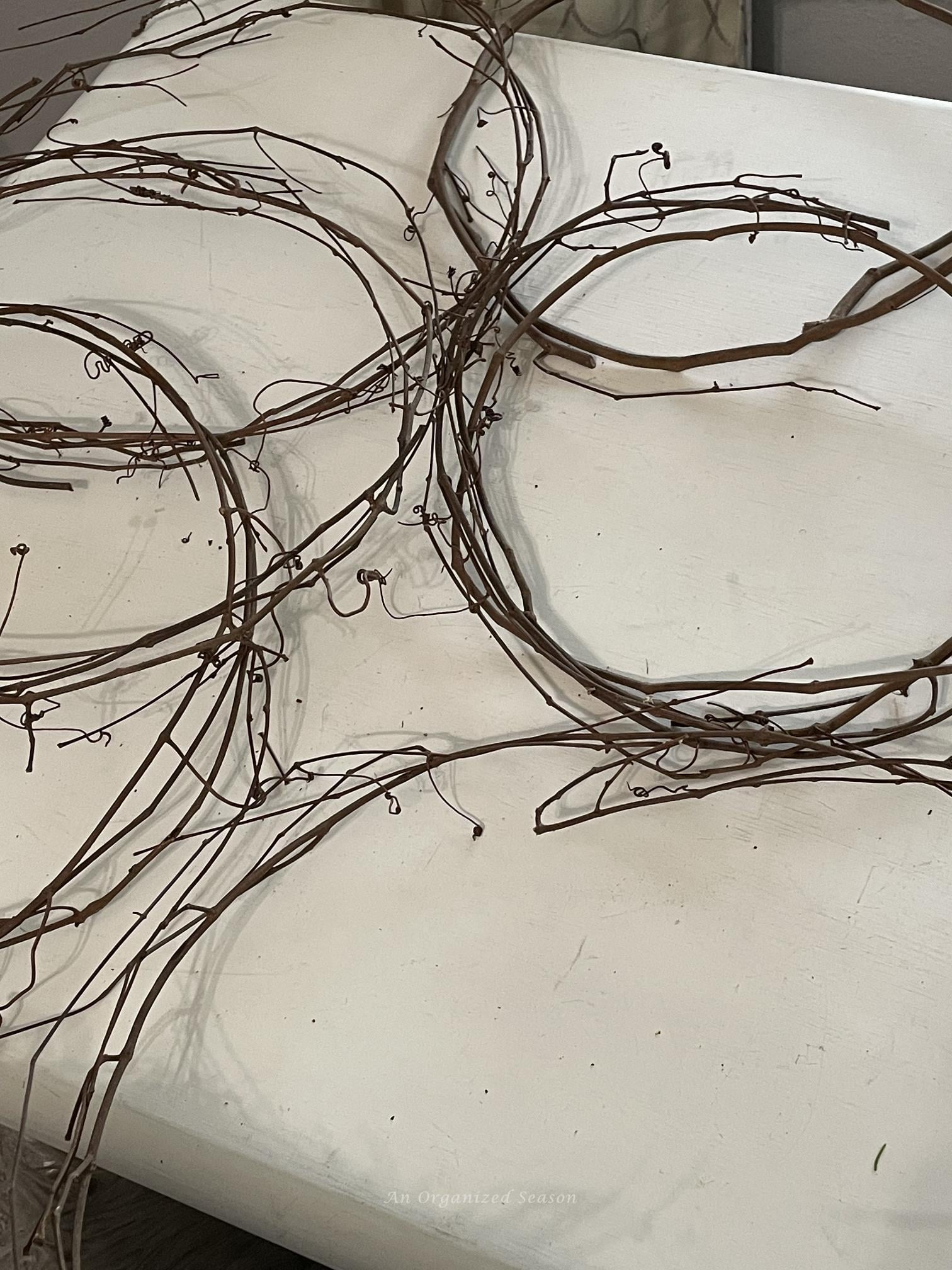 Easy DIY Topiary Frame from a Grapevine Wreath - An Organized Season