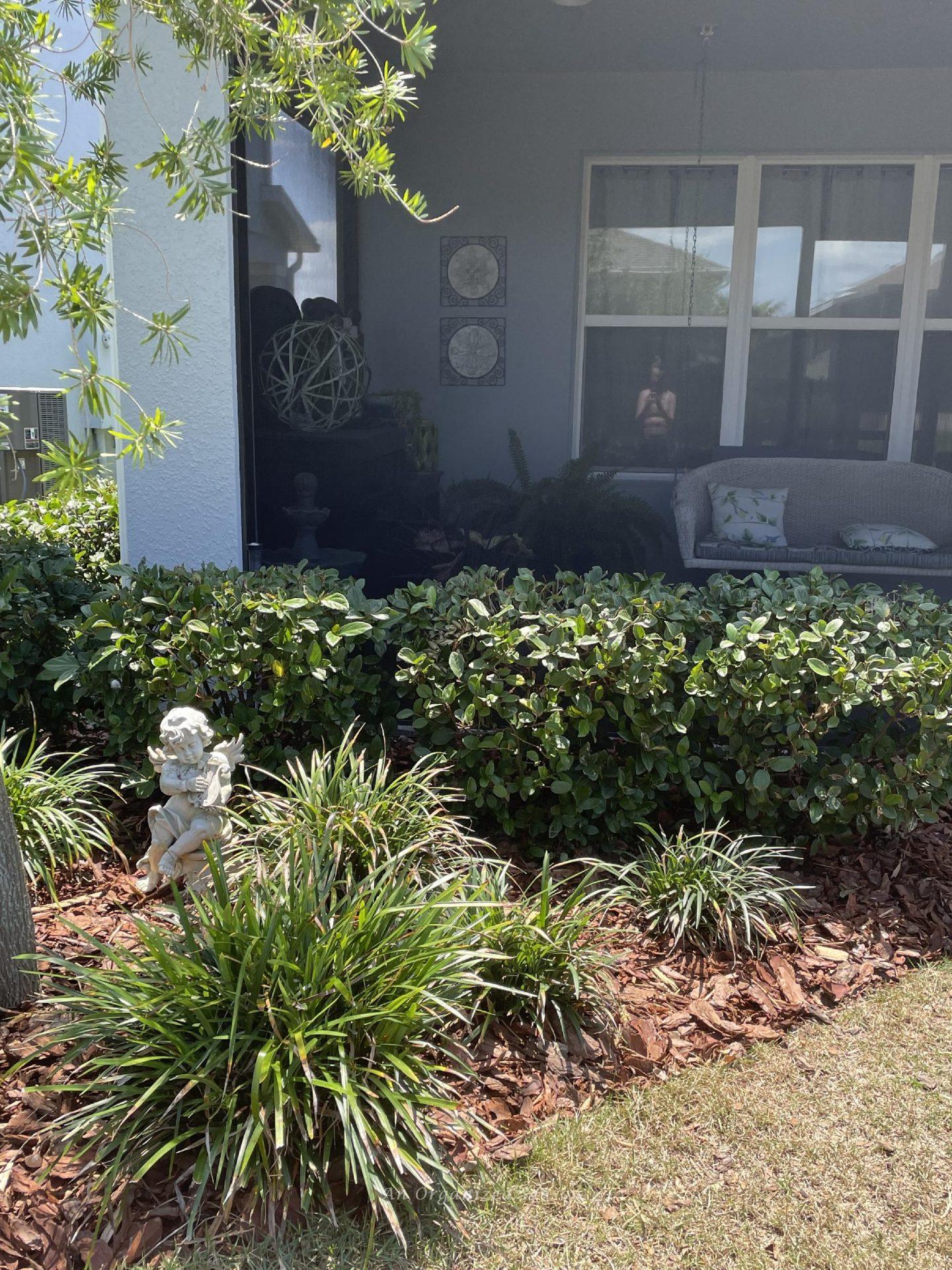Spring Yard Clean Up In Six Easy Steps - An Organized Season