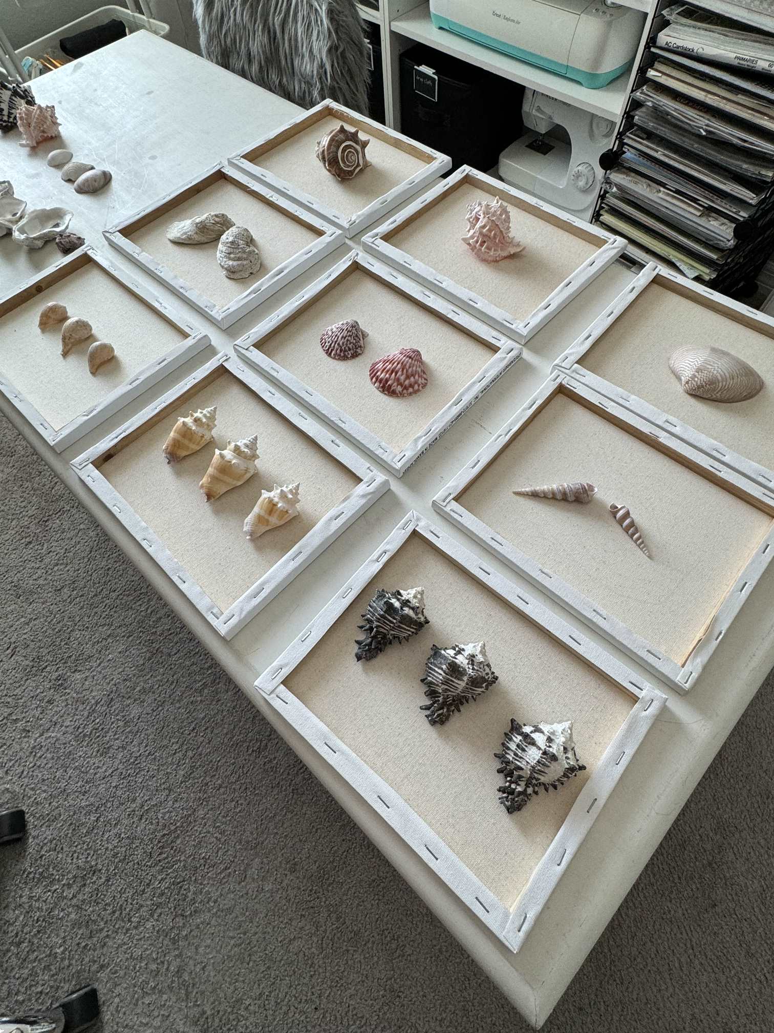 How to Create Beautiful DIY Seashell Wall Decor - An Organized Season