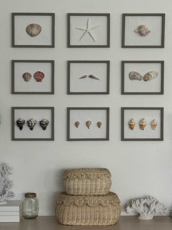How to Create Beautiful DIY Seashell Wall Decor - An Organized Season