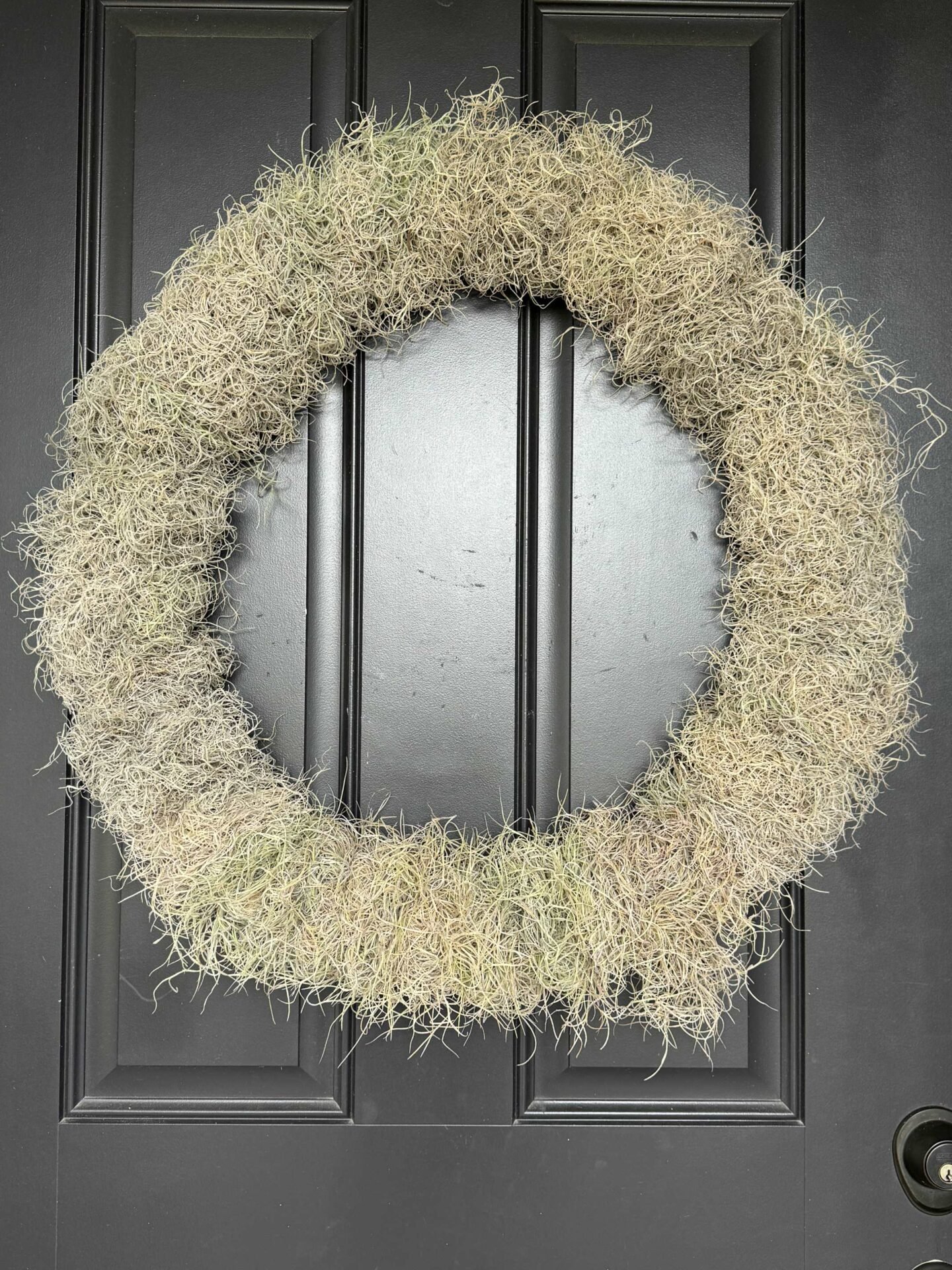 How to Make a Foraged Spanish Moss Wreath - An Organized Season