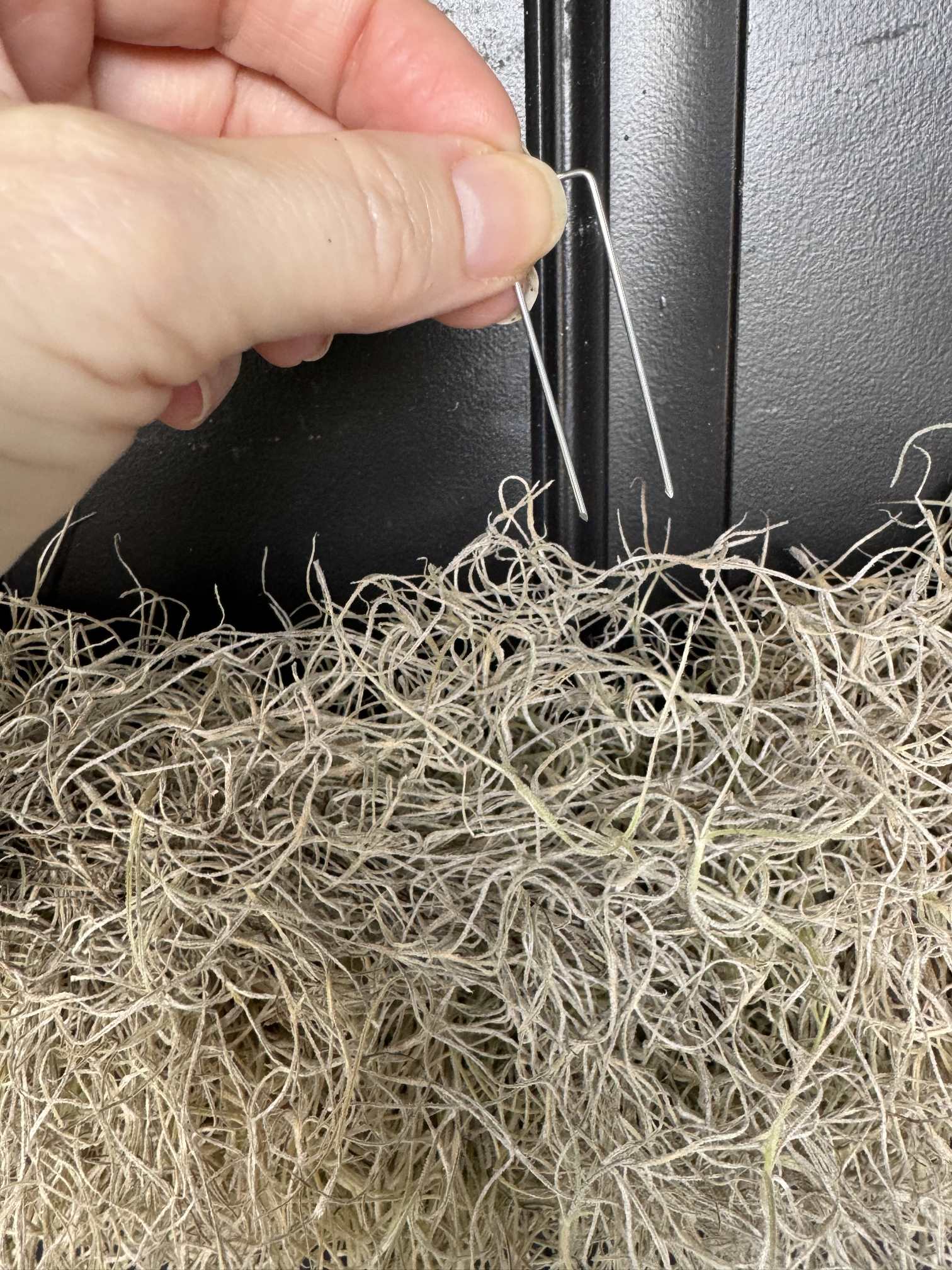 How to Make a Foraged Spanish Moss Wreath - An Organized Season