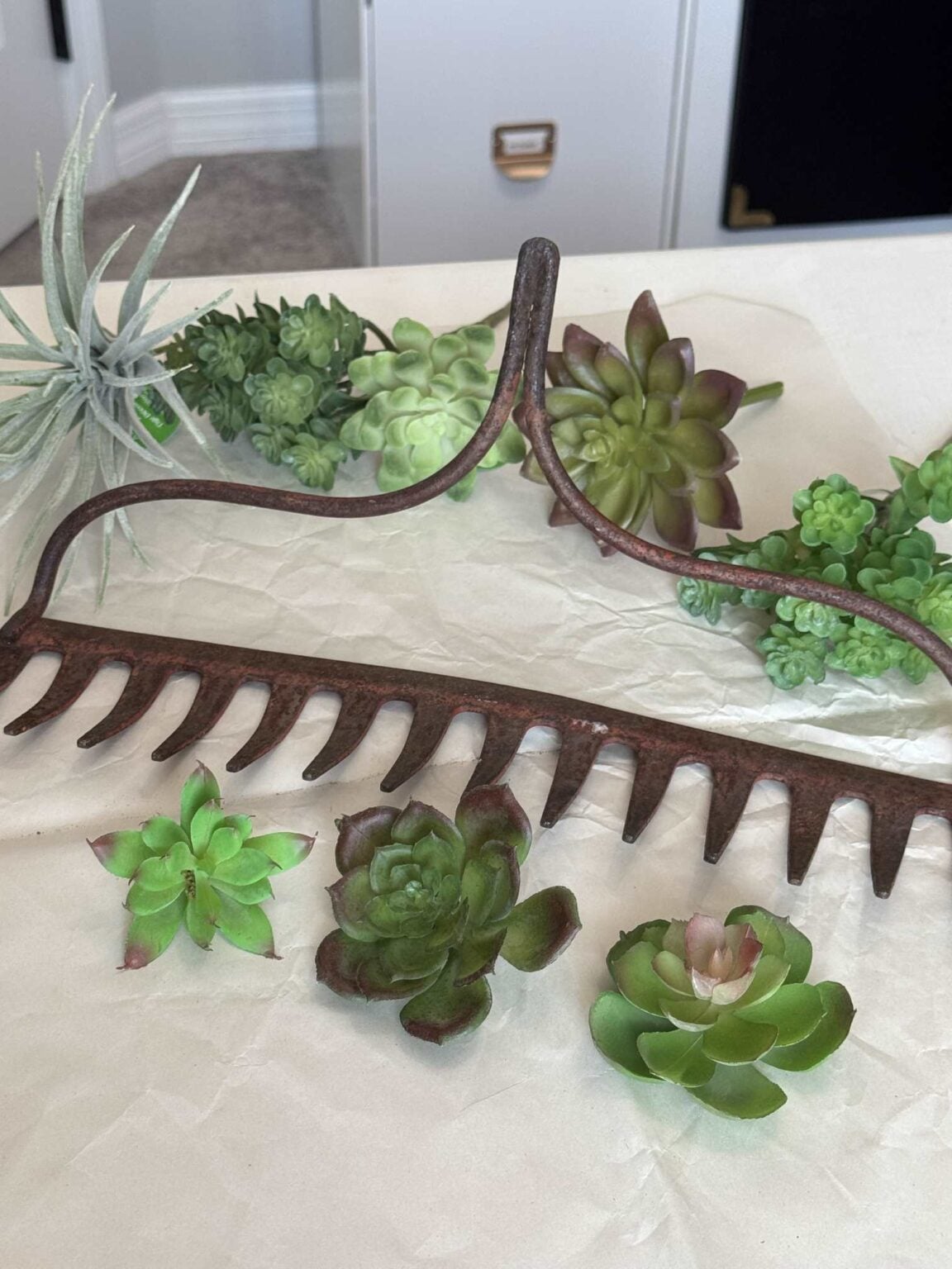 Unique Succulent Wall Art Made With an Upcycled Rake - An Organized Season