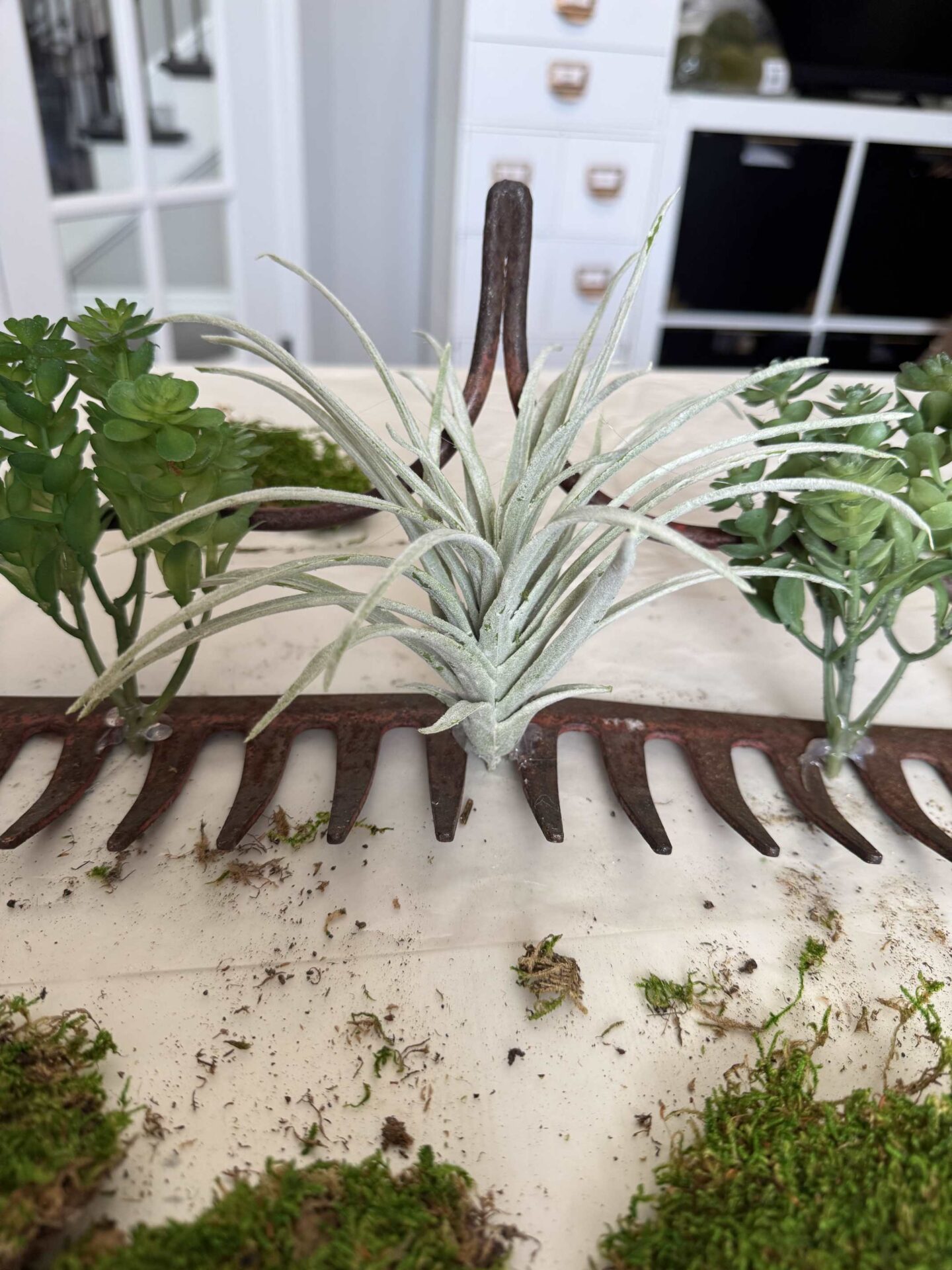 Unique Succulent Wall Art Made With an Upcycled Rake - An Organized Season