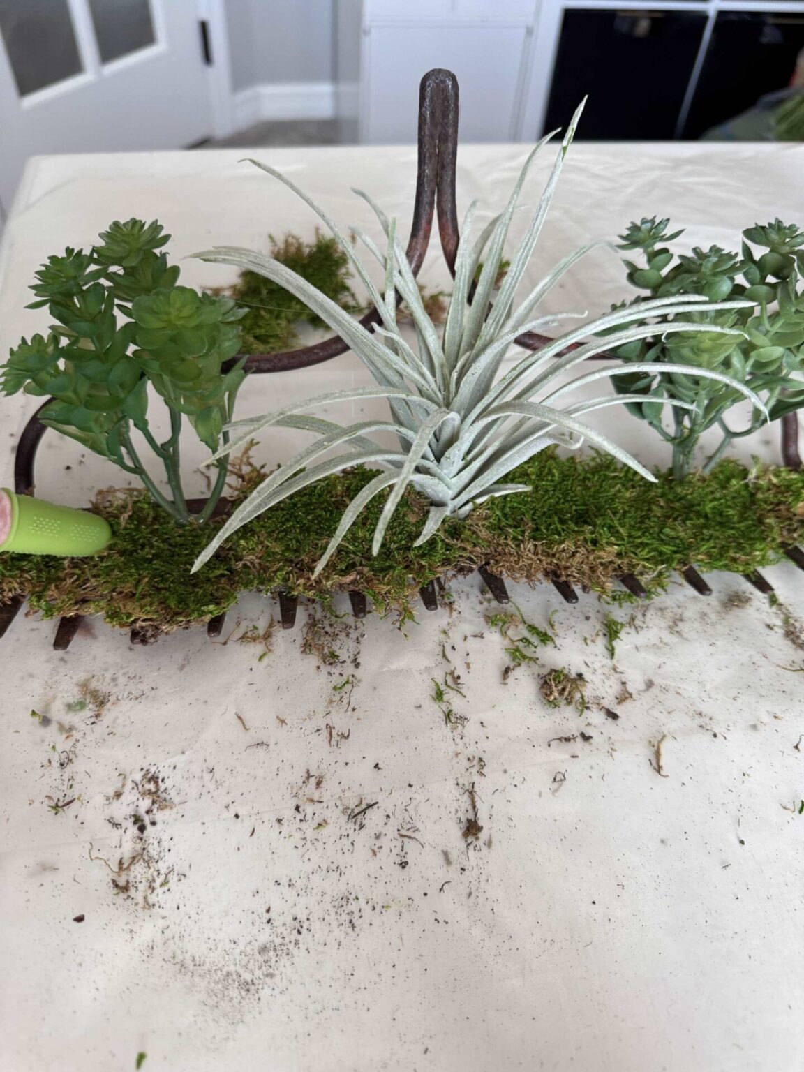 Unique Succulent Wall Art Made With an Upcycled Rake - An Organized Season