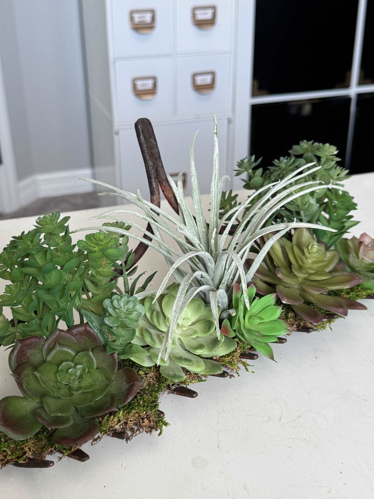 Unique Succulent Wall Art Made With an Upcycled Rake - An Organized Season