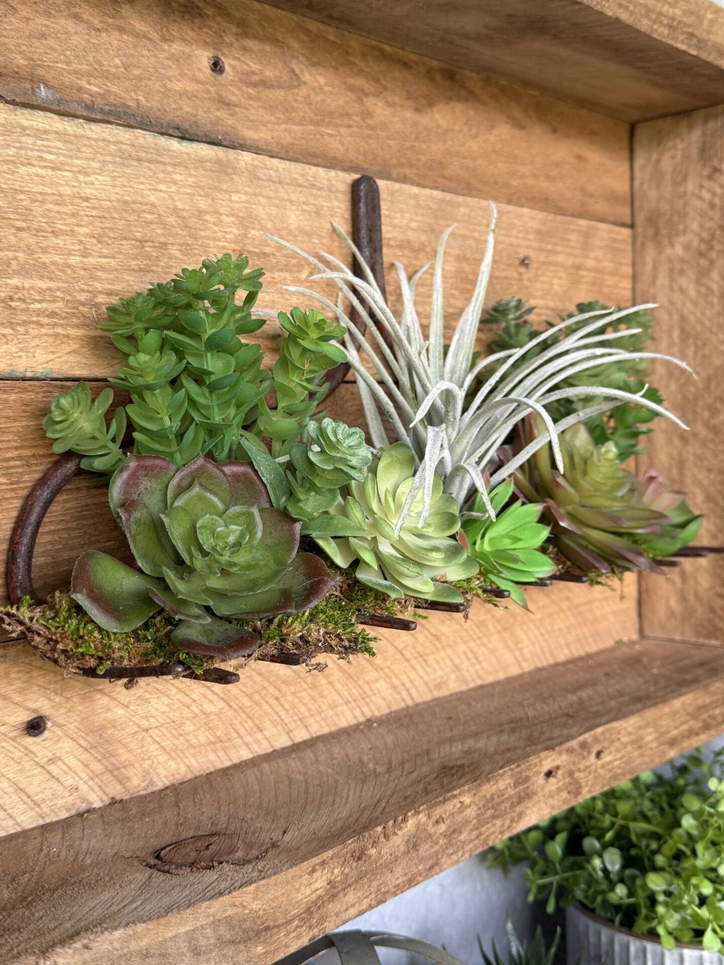 Unique Succulent Wall Art Made With an Upcycled Rake - An Organized Season