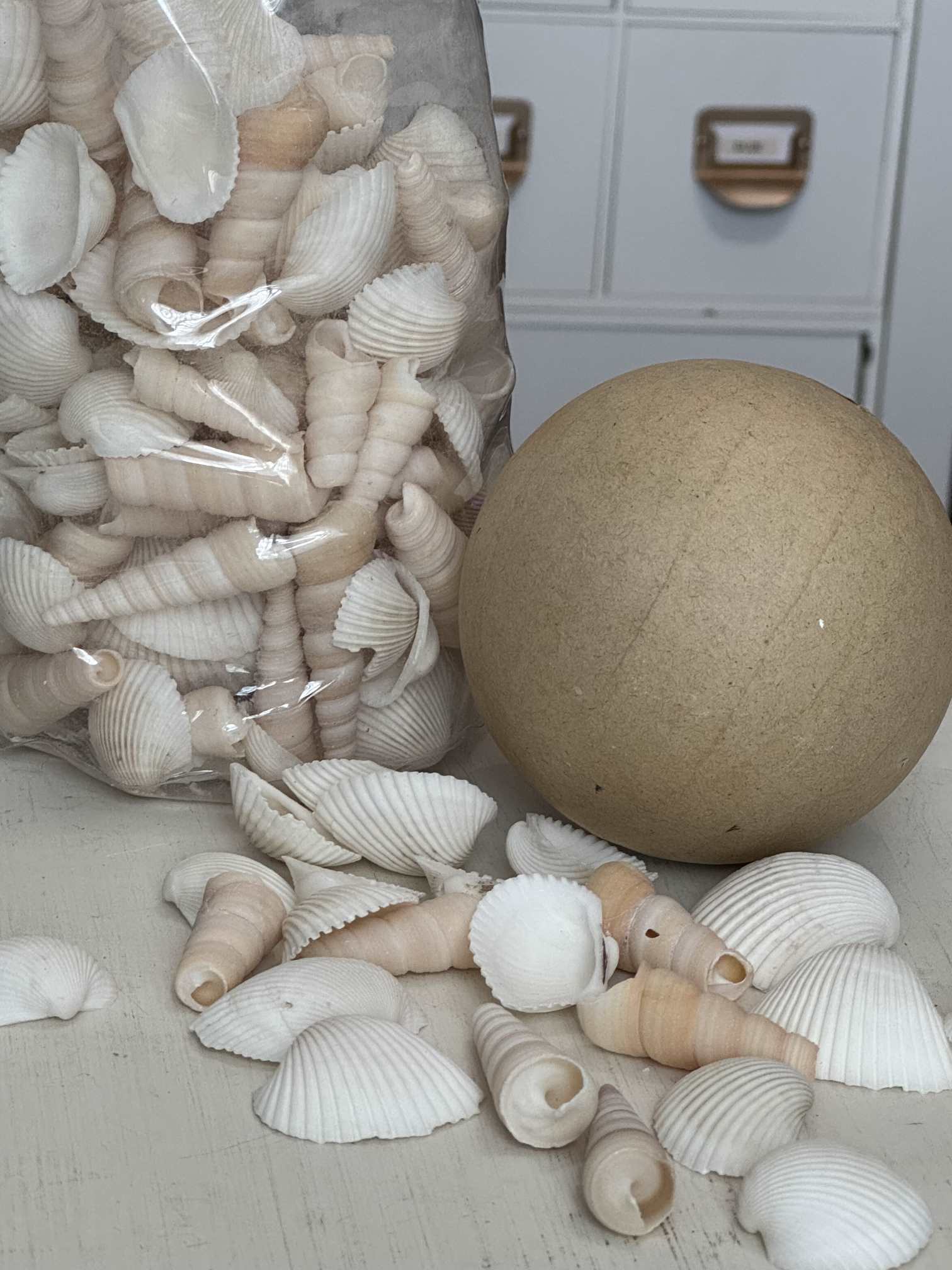 DIY Seashell Ball: A Beautiful Coastal Accent for Your Home - An ...