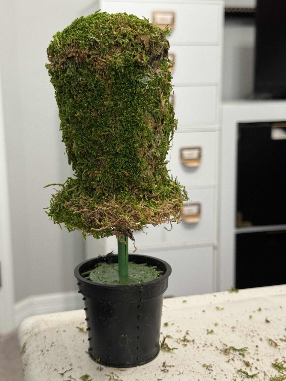 DIY St. Patrick’s Day Topiary (Easy Dollar Tree Makeover) - An ...